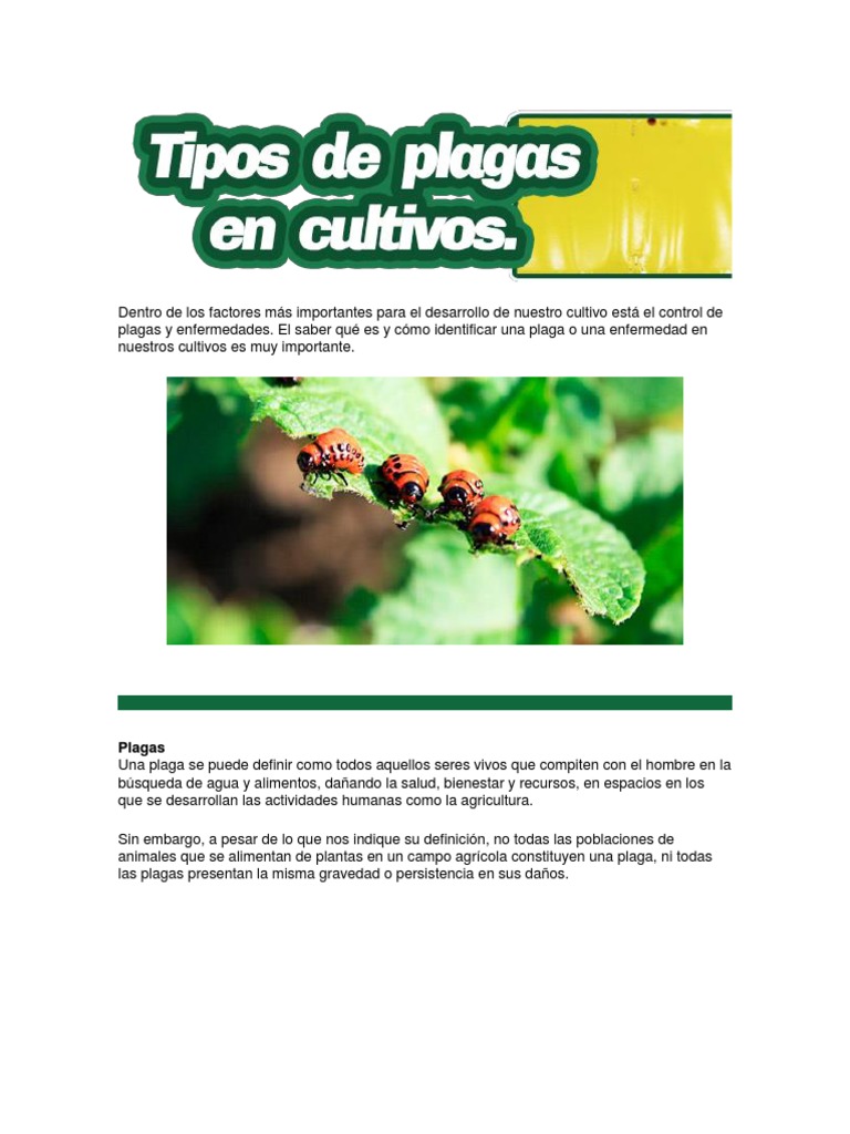 Características y tipos de plagas agrícolas | PDF | Plaga (organismo ...