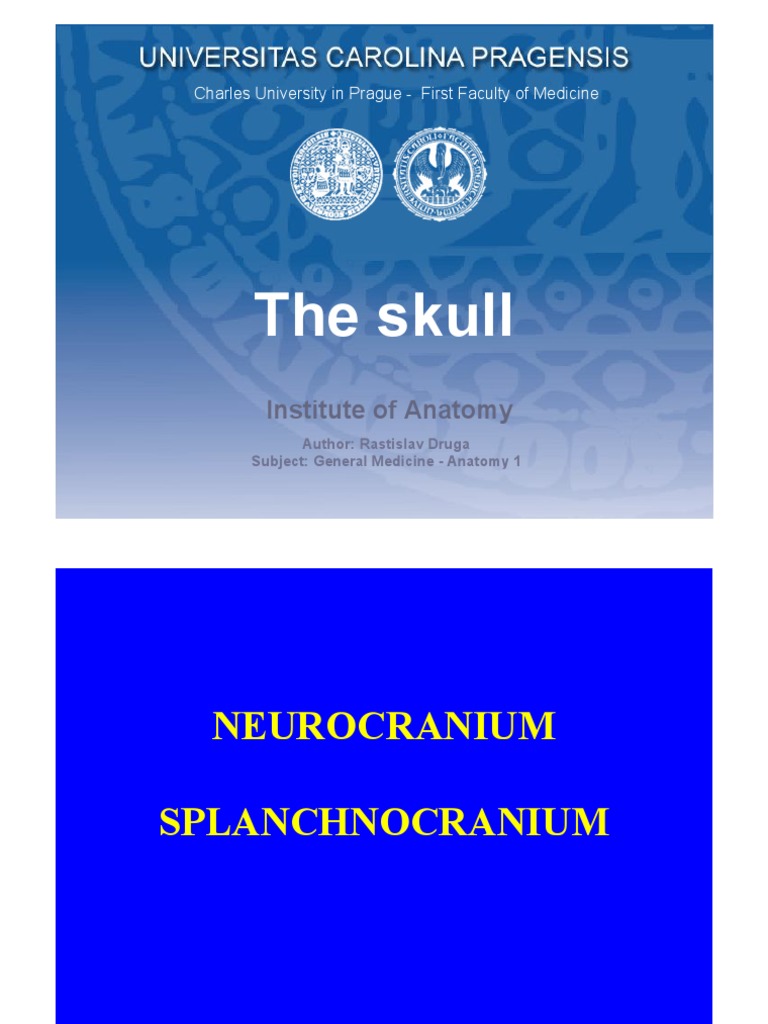 10 - The Skull | PDF