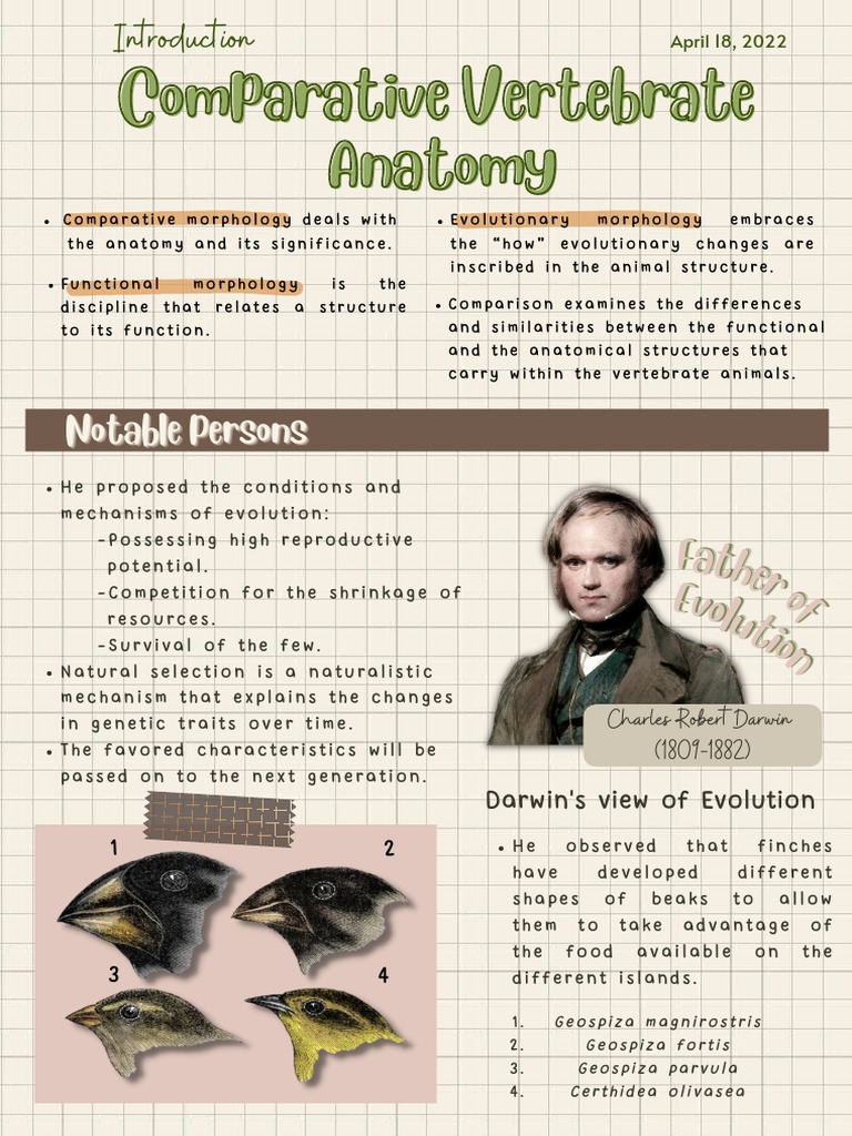 Introduction To Comparative Vertebrate Anatomy (Lecture Note) | PDF ...