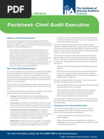 IIA Maturity Model PDF | PDF | Internal Audit | Audit
