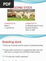 Types of Milking Parlors Explained | PDF | Dairy | Cattle