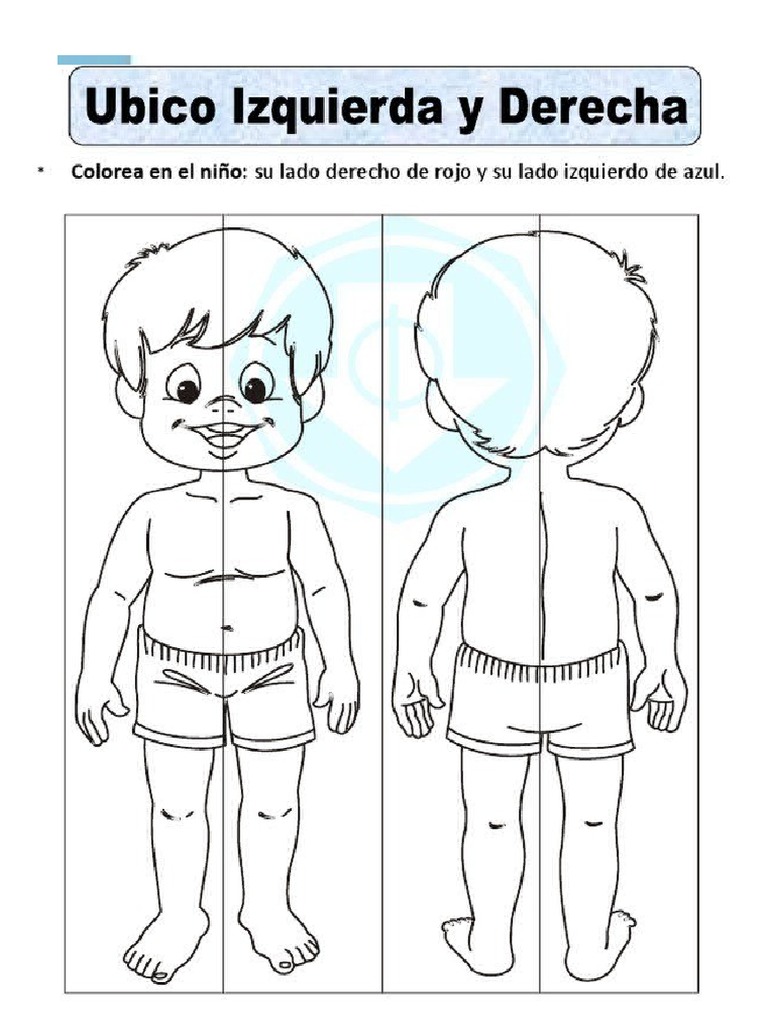 Ficha de lateralidad N°1 | PDF