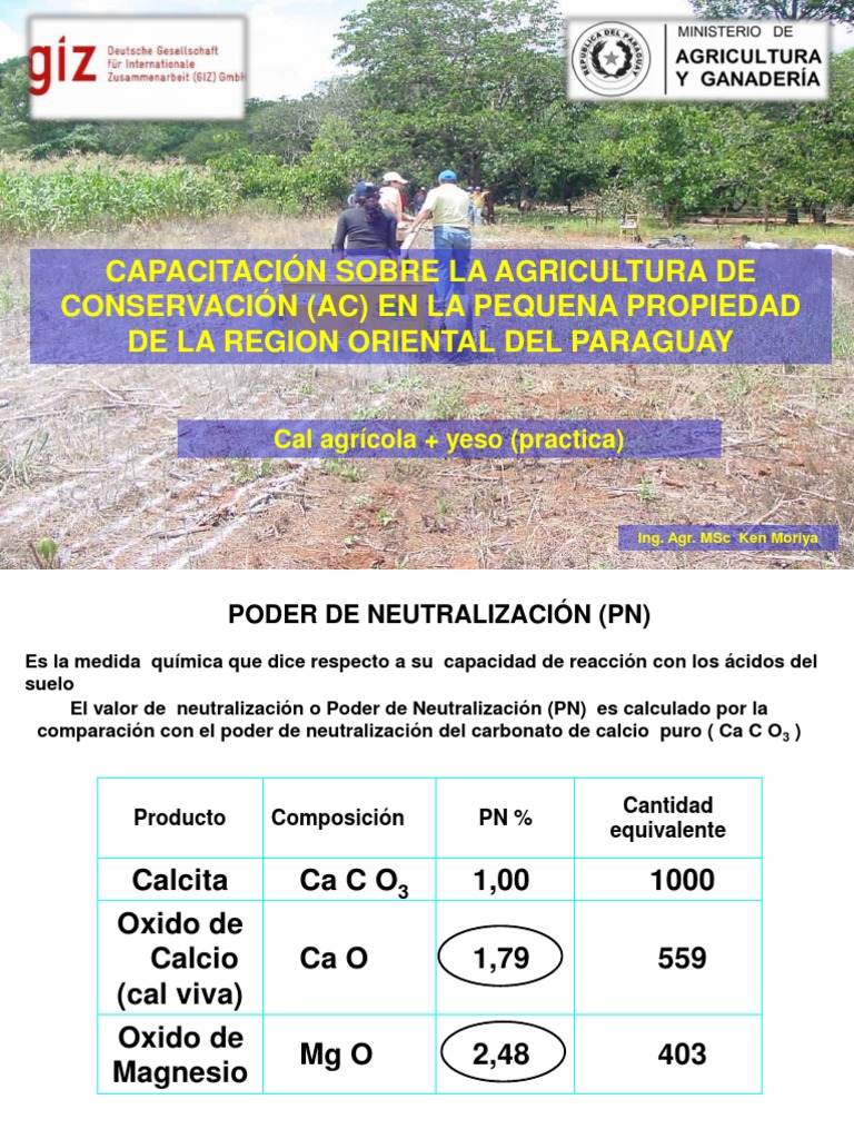 Cal y Yeso PRACTICA | PDF | Química | Cultivos