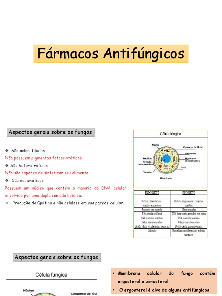Fármacos Antifúngicos | PDF | Farmacocinética | Célula (Biologia)