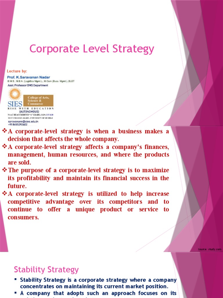 Stability Strategy | PDF