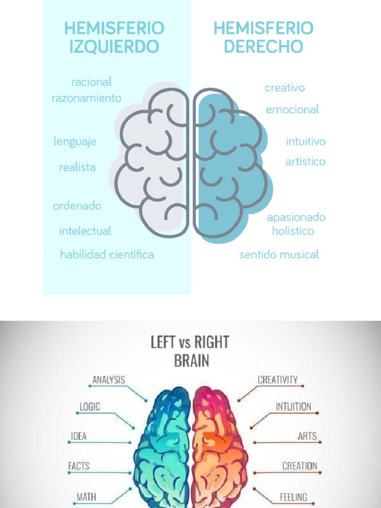 Hemisferios Cerebrales Esquemas | PDF