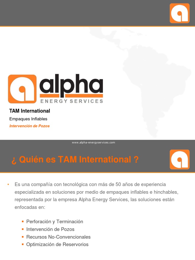 Alpha Energy Services - Tam International | PDF | Materiales | Física ...
