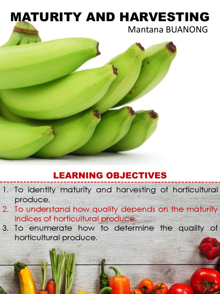 Maturity | PDF | Home & Garden | Technology & Engineering