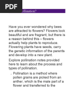 Biology Investigatory Project (Class 12) | PDF | Flowers | Pollination