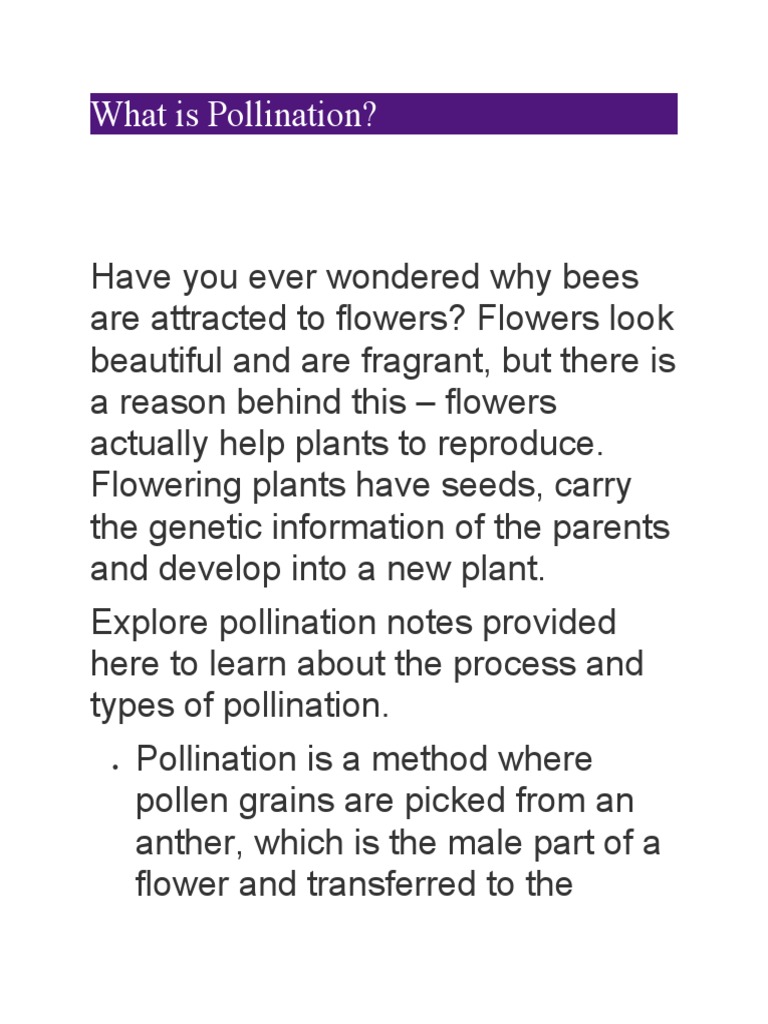 Pollination Project 12 | PDF | Pollination | Flowers