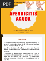 Fases de la apendicitis explicadas | PDF