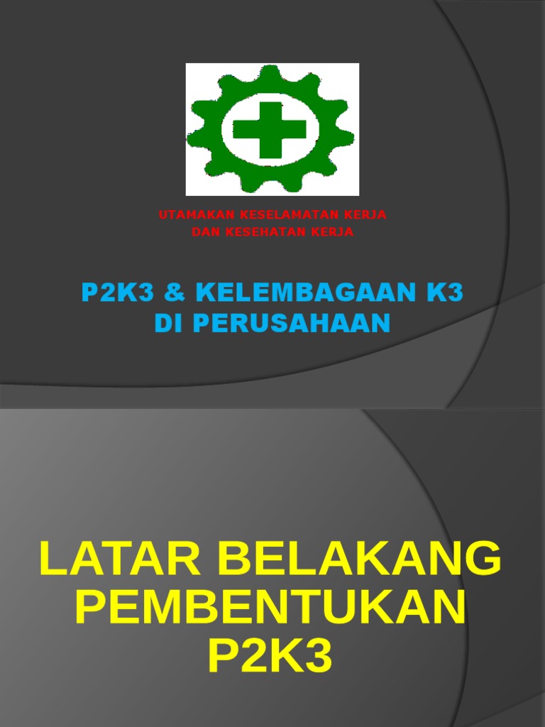 P2K3 Dan Kelembagaan K3 Di Perusahaan | PDF