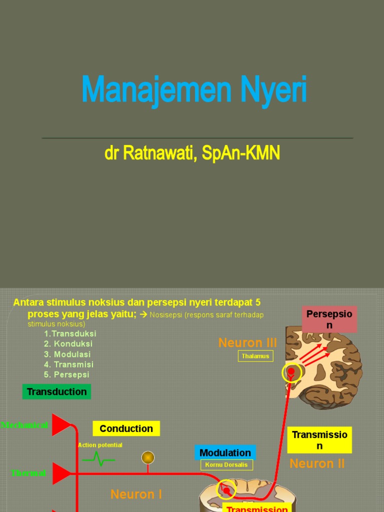 Manajemen Nyeri: Proses dan Obat Analgesik | PDF