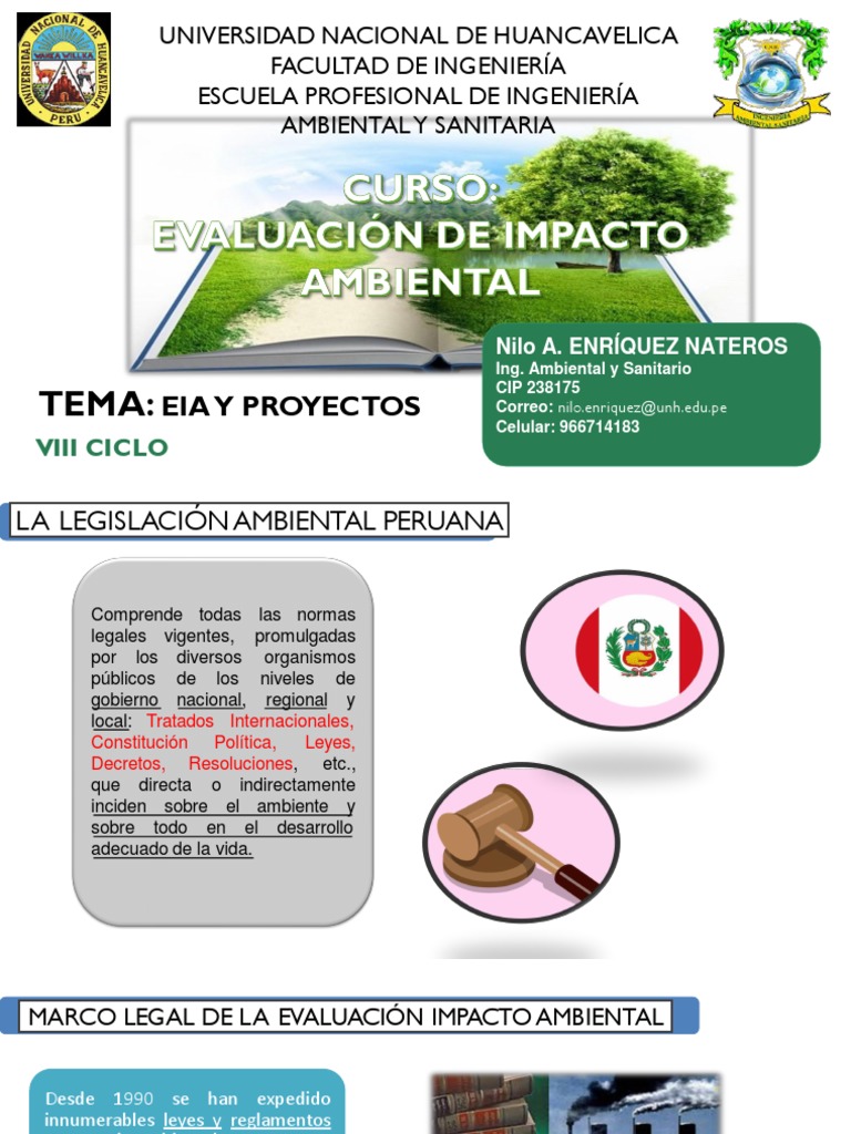 Eia 3 | PDF | Evaluación de impacto ambiental | Entorno natural