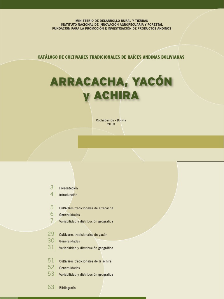 Arracacha, Yacón y Achira | PDF
