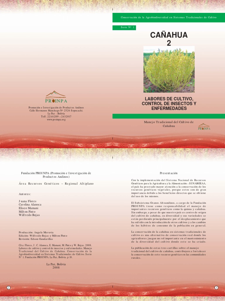 Manejo Tradicional de la Cañahua | PDF | Agricultura | Ajo