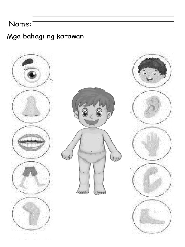 Bahagi NG Katawan | PDF