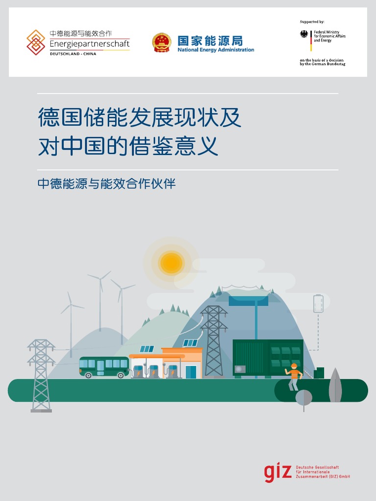 Energy Storage in Germany CN Final | PDF