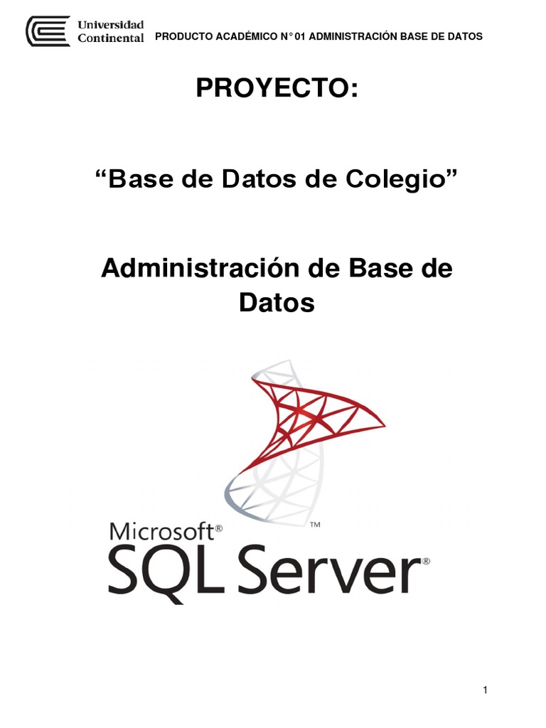 Pa1 Informe Grupal | PDF | Bases de datos | Informática