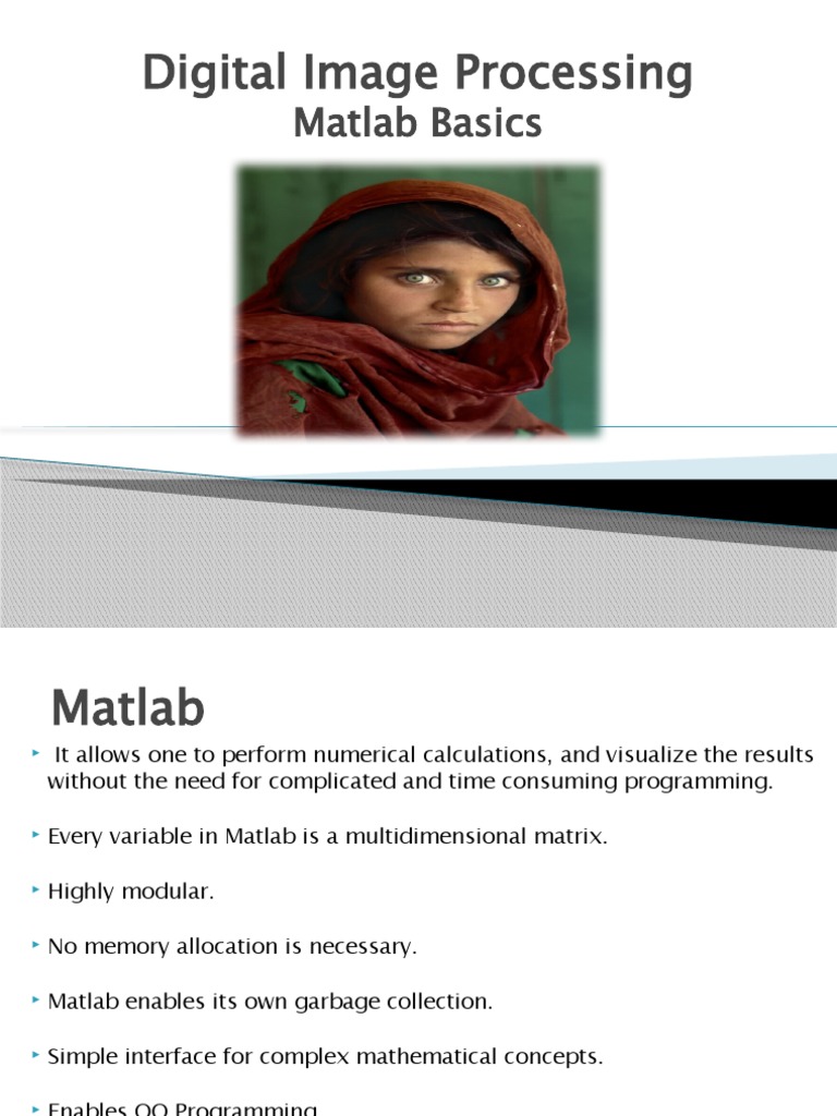 Digital Image Processing Matlab Basics | PDF | Array Data Structure | Matrix (Mathematics)