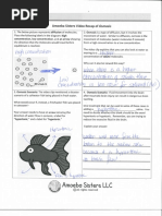 Video Recap of Osmosis by Amoeba Sisters Answer Set | PDF | Osmosis ...