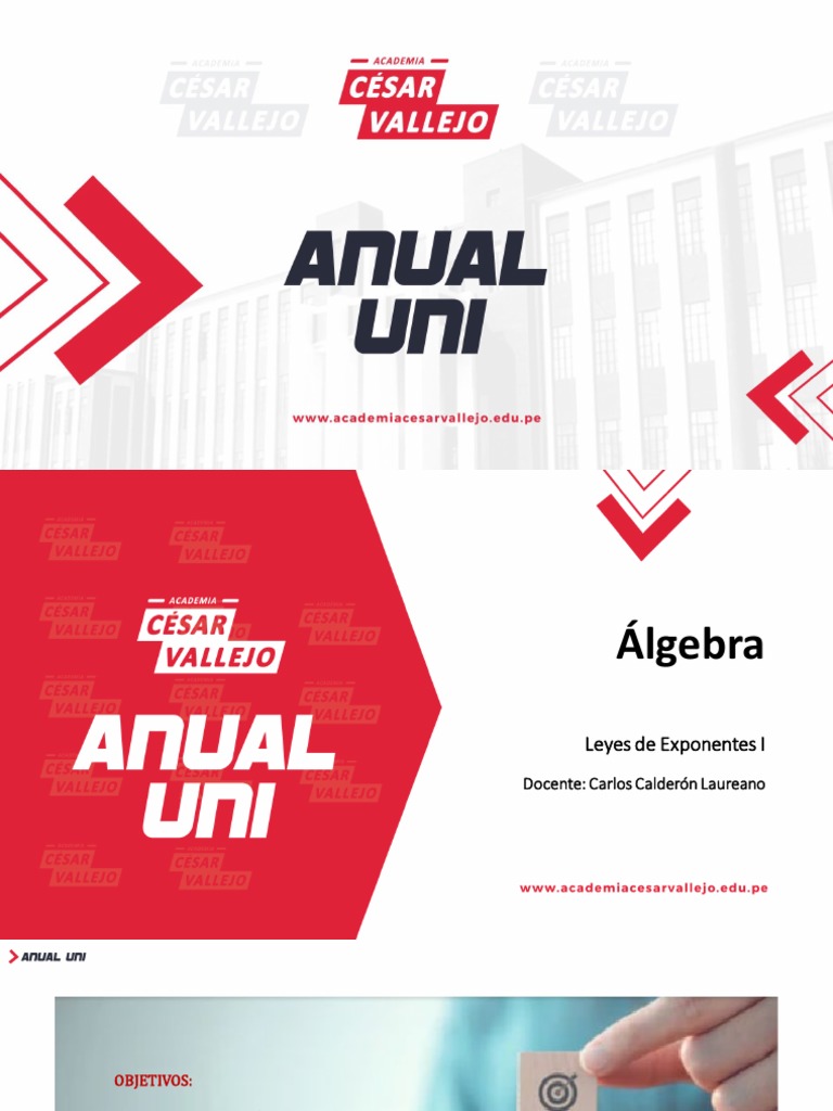 Leyes de Exponentes en Álgebra | PDF | Entero | Notación Matemática