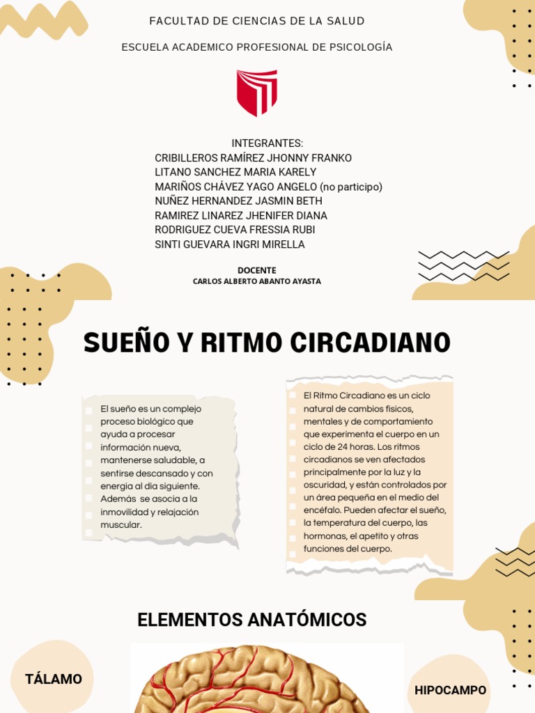 Sueño y Ritmo Circadiano | PDF | Dormir | Ritmo circadiano
