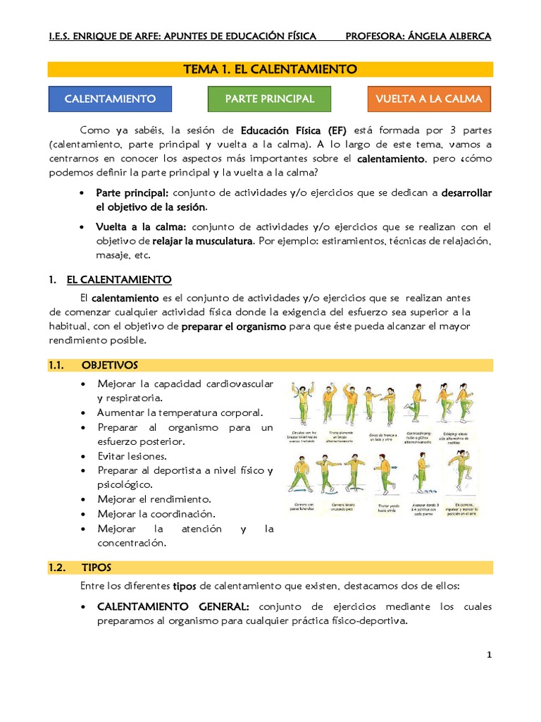 Tema 1. Calentamiento | PDF | Músculo esquelético