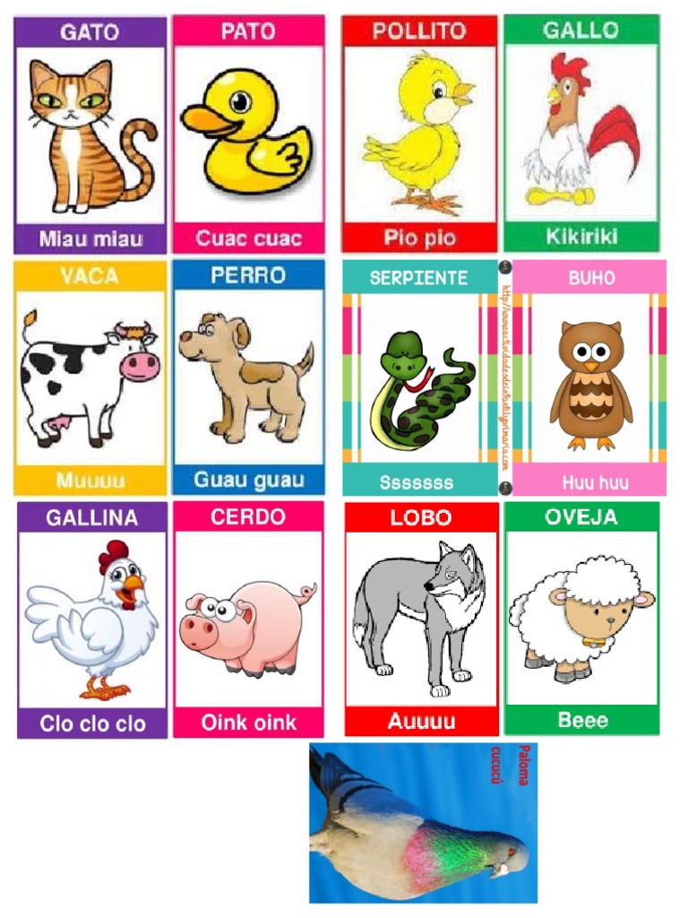 Animales Con Sus Sonidos | PDF