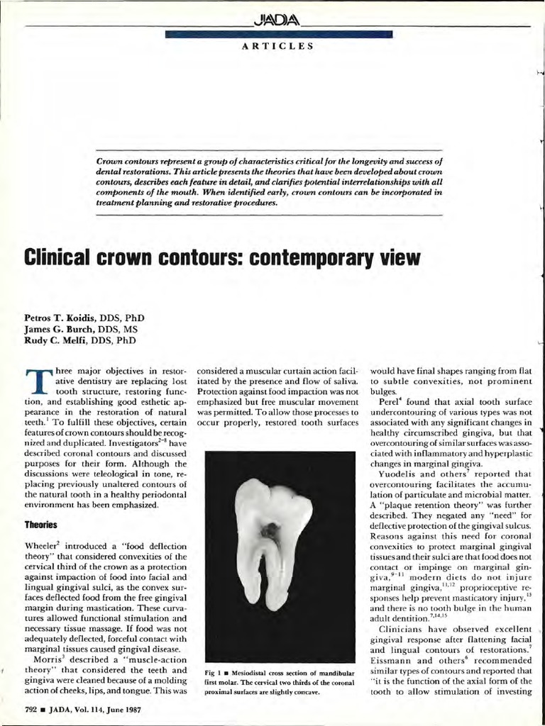 Clinical Crown Contours Contemporary View | PDF | Mouth | Dentistry ...