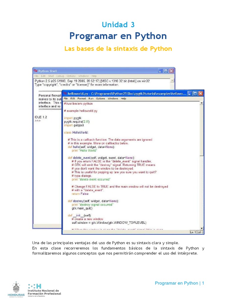 Unidad 3 - Las Bases de La Sintaxis | PDF | Python (lenguaje de ...