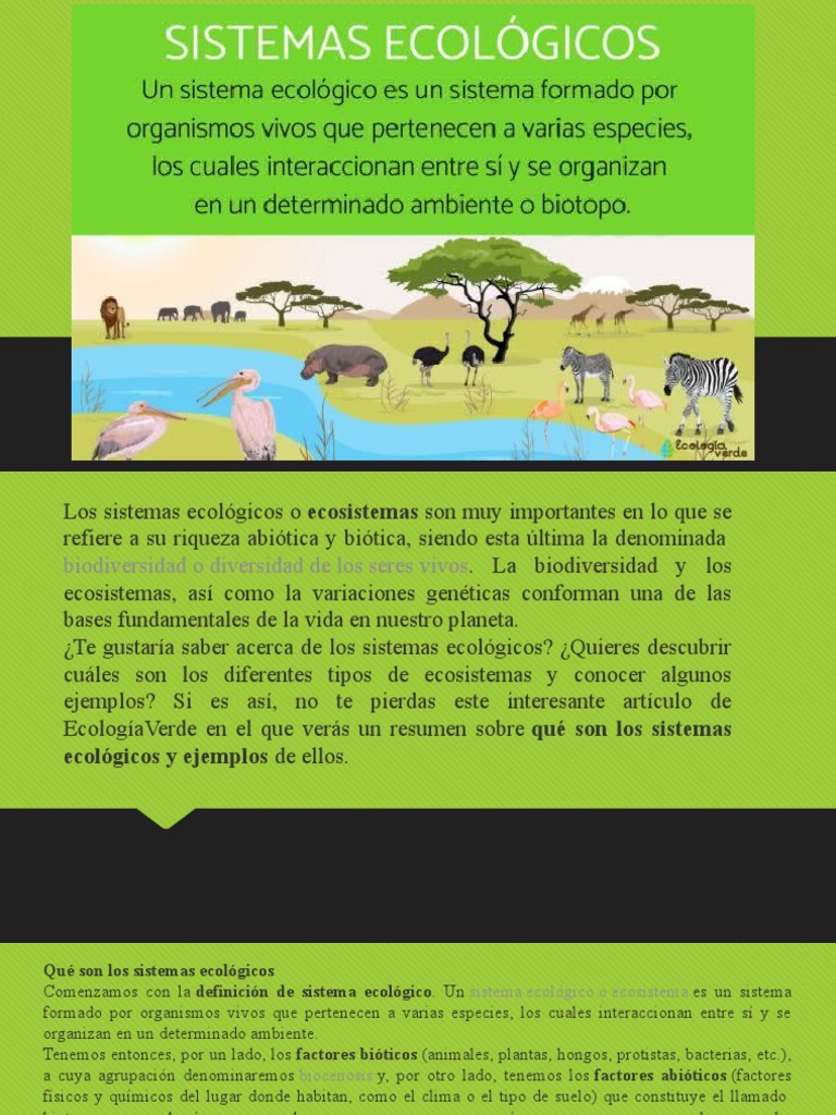 Sistemas Ecológicos | PDF | Ecosistema | Ecología