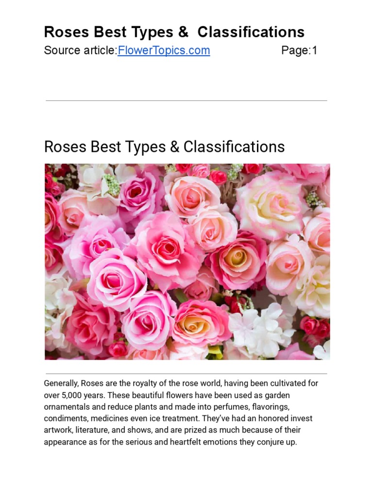 Best Rose Types and Classifications Guide | PDF | Rose | Plants