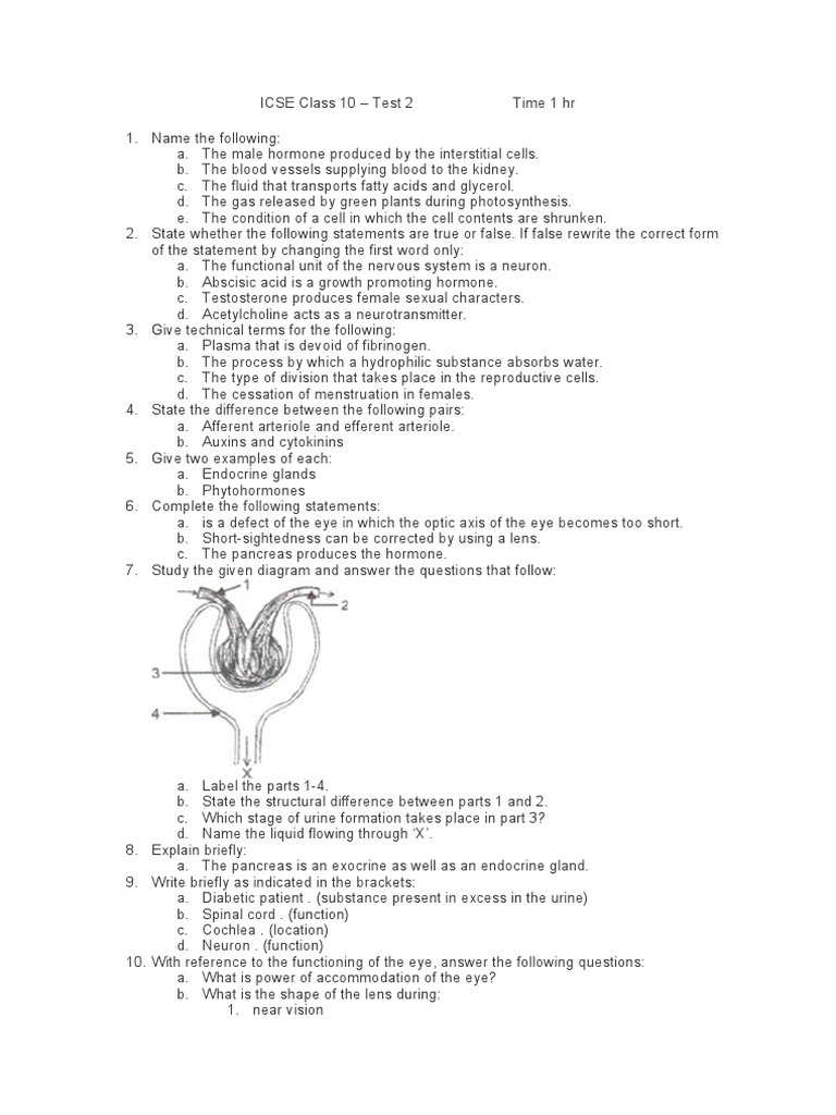 ICSE Class 10 Biology Test 2 Questions | PDF | Hormone | Pancreas