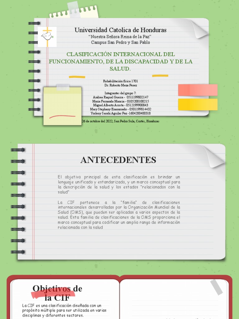 CIF Rehabilitación | PDF | Invalidez | Entorno natural