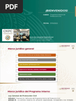 Machote Plan Interno de Proteccion Civil | PDF | Defensa Civil | Riesgo