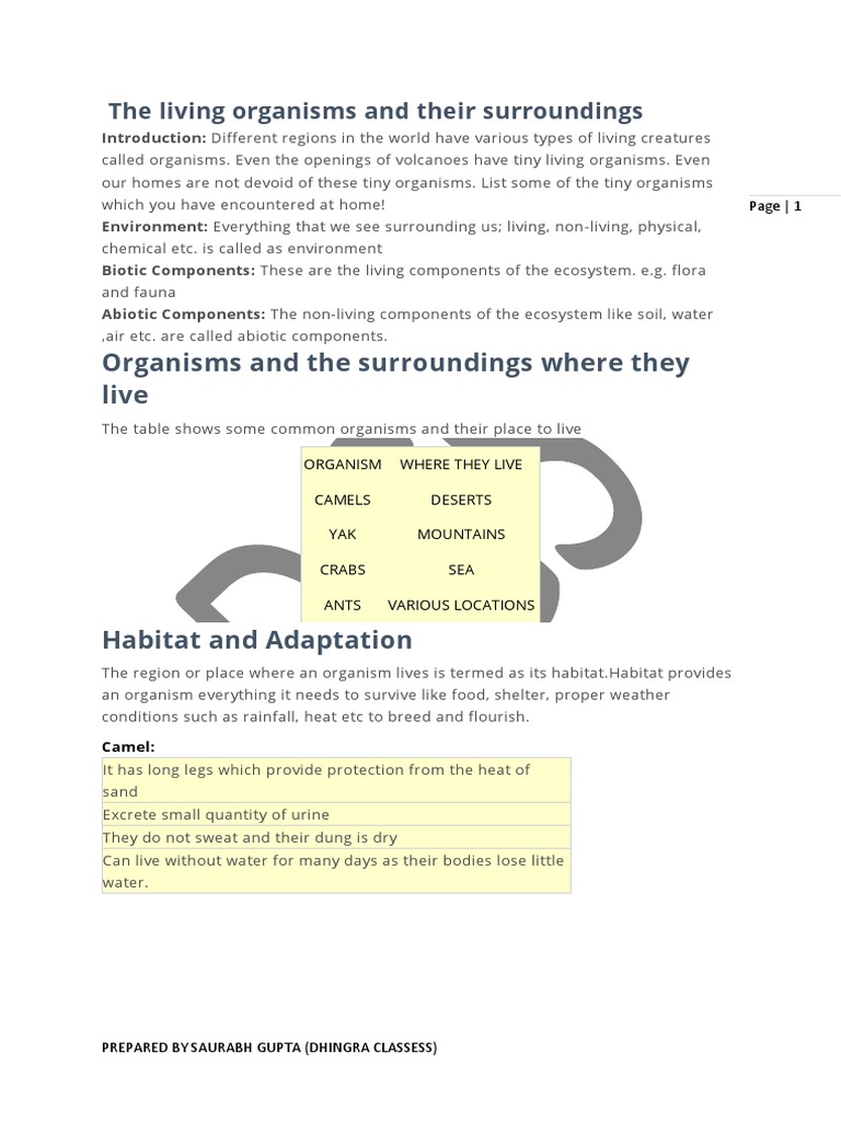 CLASS 6TH The Living Organisms and Their Surroundings | PDF | Habitat | Desert
