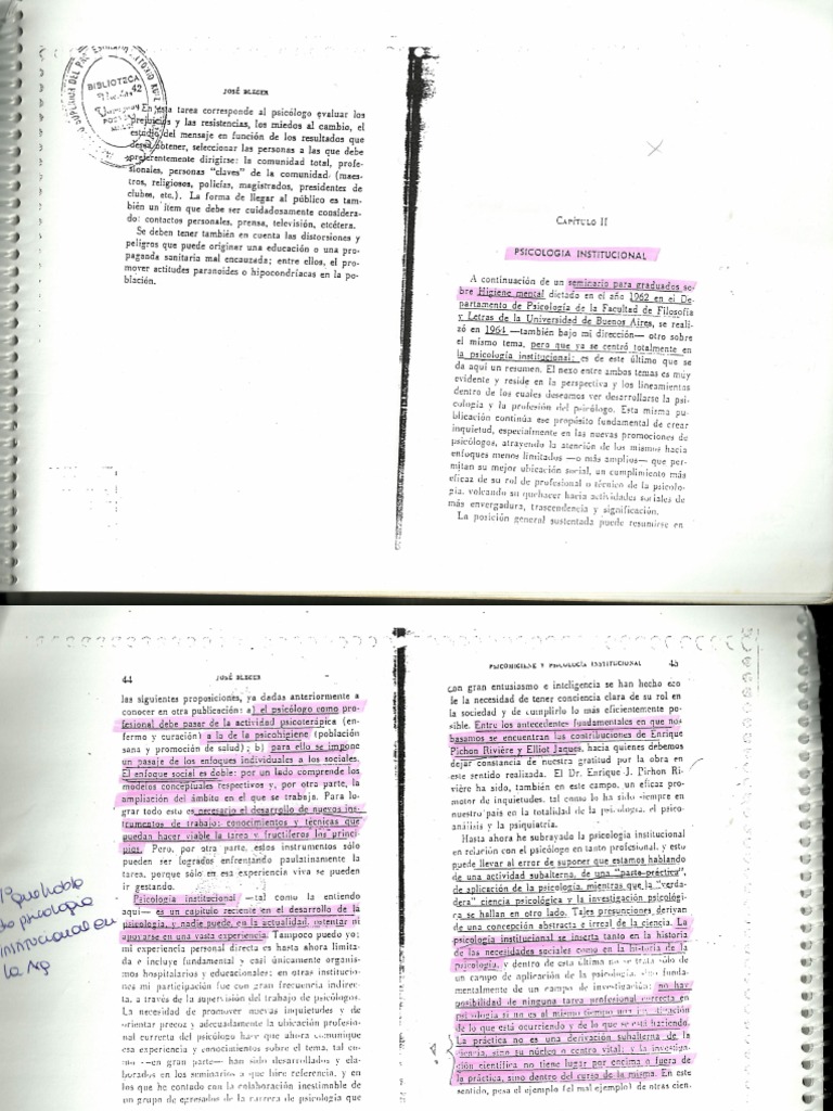 02 Bleger - Ps Institucional | PDF