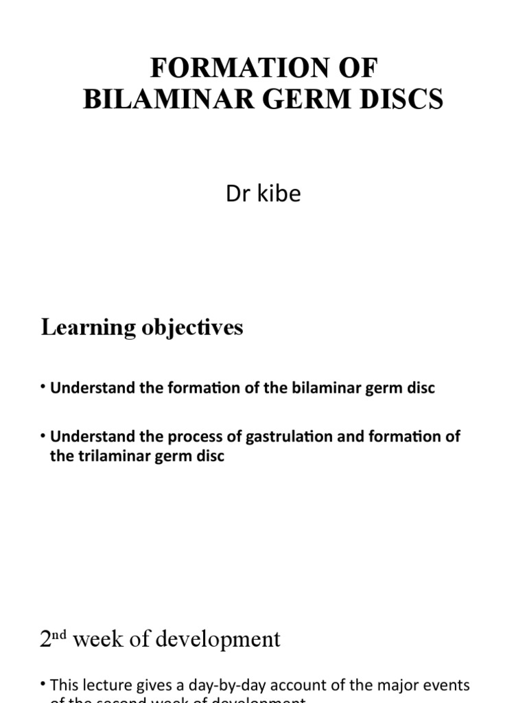 Bilaminar Germ Disc Formation Overview | PDF | Wellness | Science ...