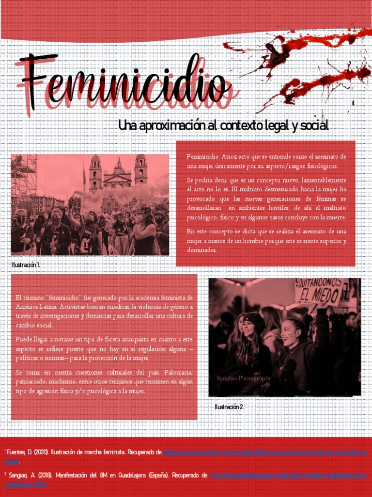 Feminicidio. Una Aproximación Al Contexto Social y Legal. | Descargar gratis PDF | La violencia ...