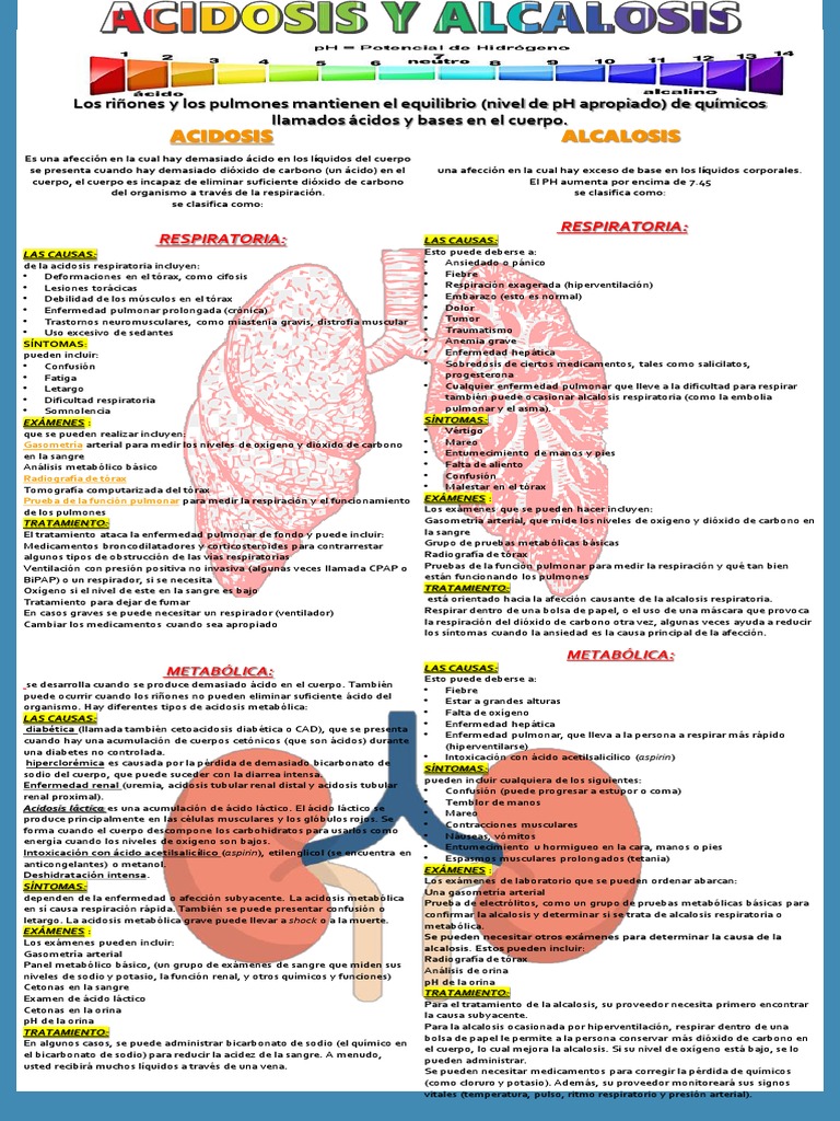 Infografia Acidosis y Alcalosis | PDF | Respiración | Causas de la muerte