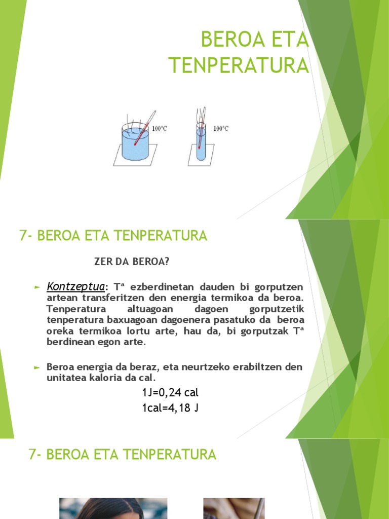 BEROA | PDF