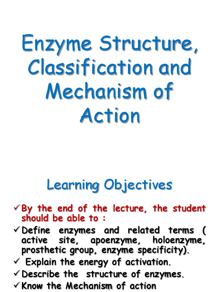 Enzymes Classification | PDF | Enzyme | Active Site