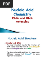 Nucleic Acid Project | PDF | Nucleic Acids | Dna