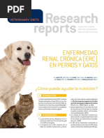 Manejo de la ERC en gatos según IRIS | PDF | Aspirina | Medicamentos ...