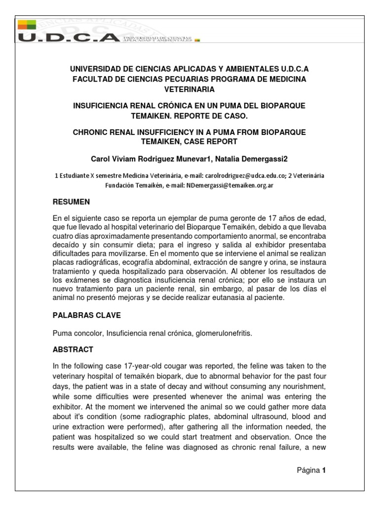 Insuficiencia renal en puma Yaco | PDF | Riñón | Especialidades Medicas