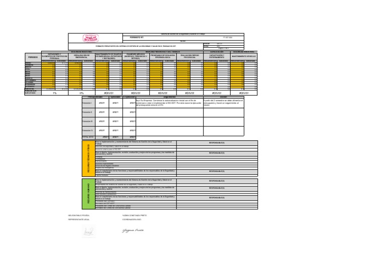 sgsst presupuesto formato | PDF | Ciencias de la Salud