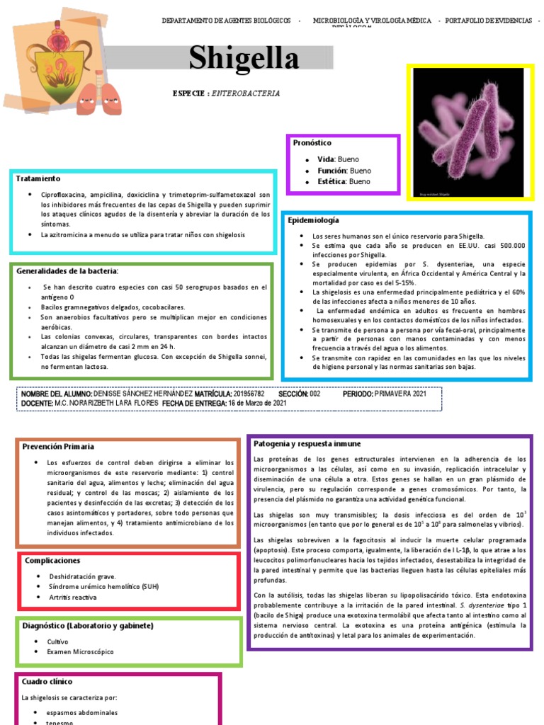 Shigella | PDF | Causas de la muerte | Especialidades Medicas