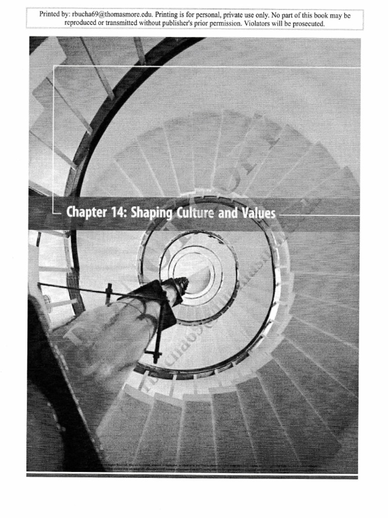 Chapter 14 Shaping Culture and Values | PDF