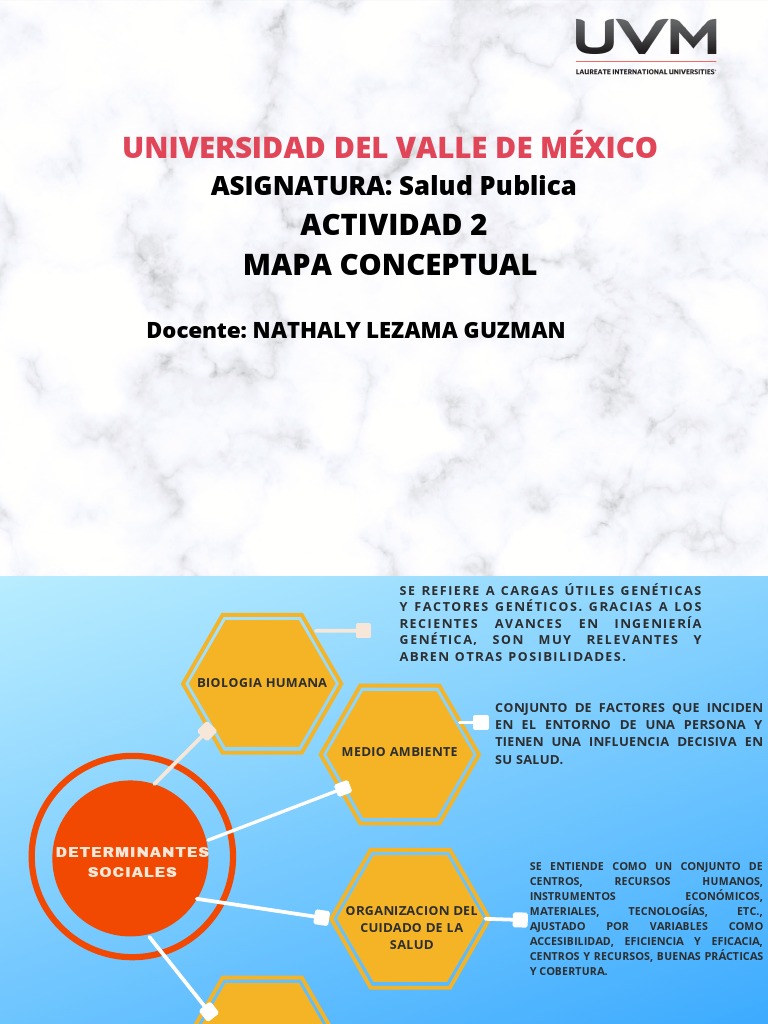 Mapa Conceptual Sencillo | PDF | Comportamiento | Vida